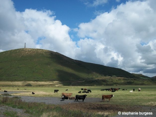 Pen Dinas Walk: A Guide to Aberystwyth's Iron Age Hillfort | BaldHiker