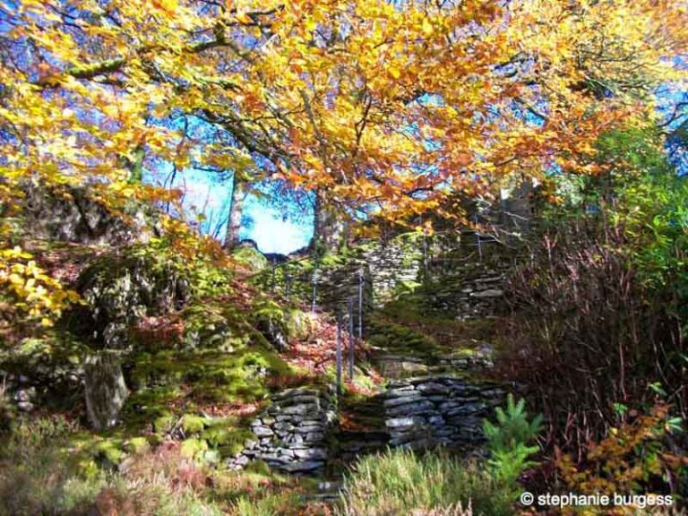 Four Seasons at the Hafod Estate, Pontrhydygroes | BaldHiker