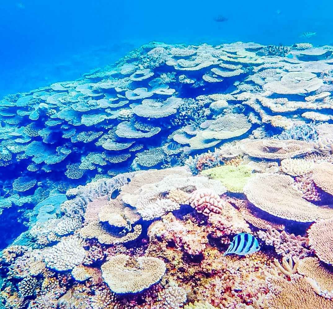 Akajima Island: A Blissful Escape to Japan's Heavenly Oasis | BaldHiker