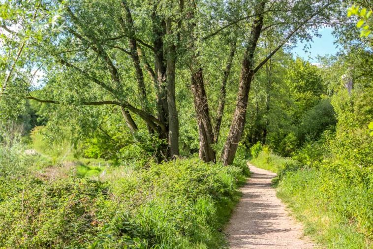 A Nature Walk in The Test Valley, Hampshire | BaldHiker