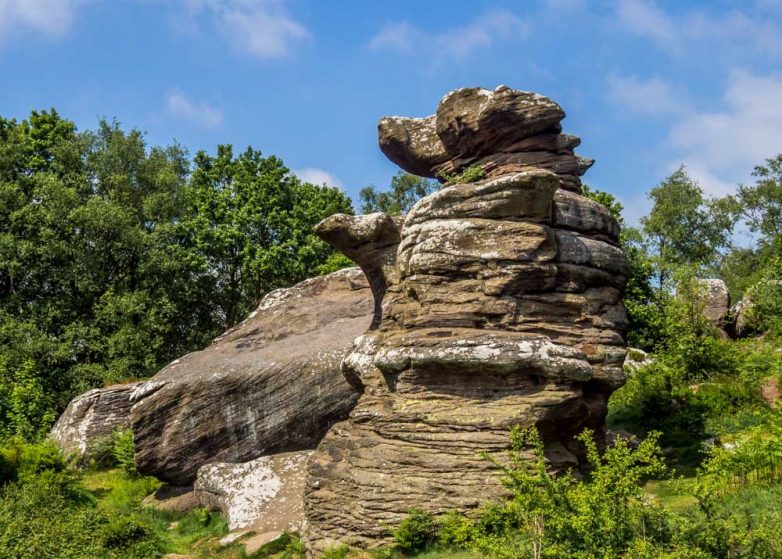 A Day At Brimham Rocks - A Geological Wonder | BaldHiker