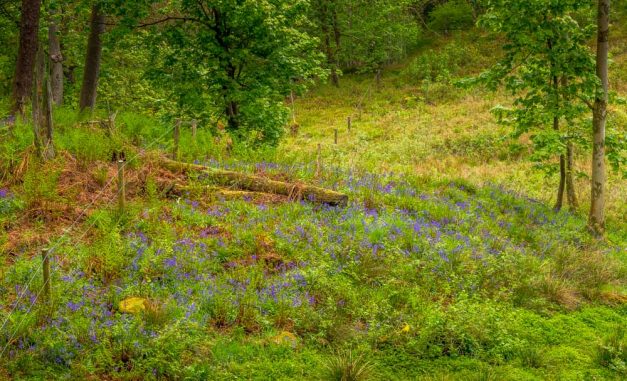 A Carlops and Peggy's Pool Walk Beneath The Pentland Hills | BaldHiker