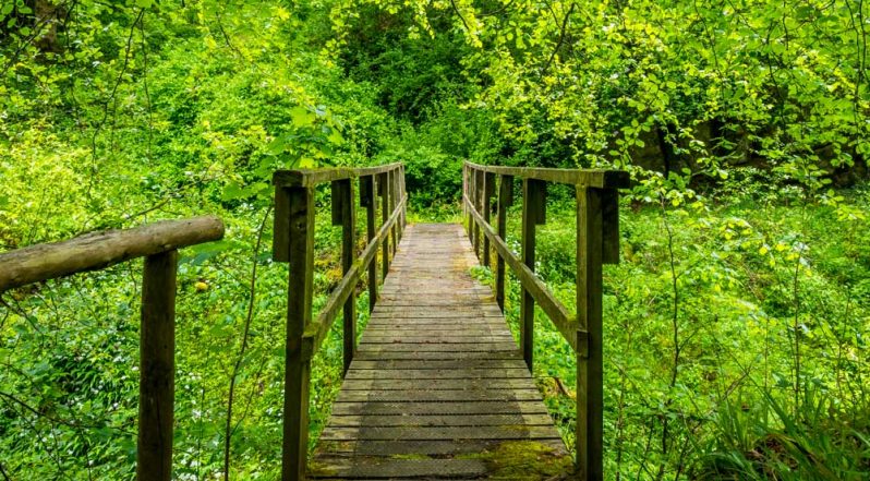 A Carlops and Peggy's Pool Walk Beneath The Pentland Hills | BaldHiker