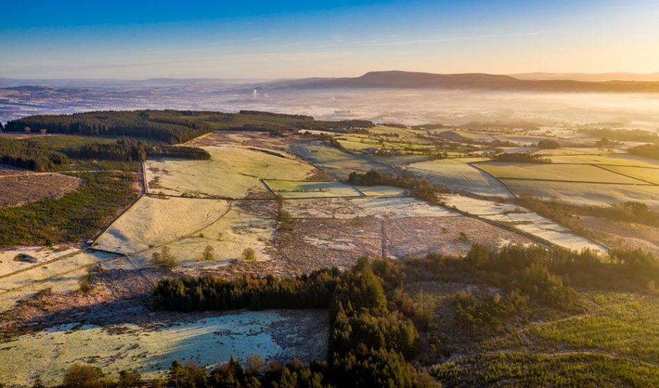Longridge Fell - A Walk Up Britain's Most Southerly Named Fell | BaldHiker