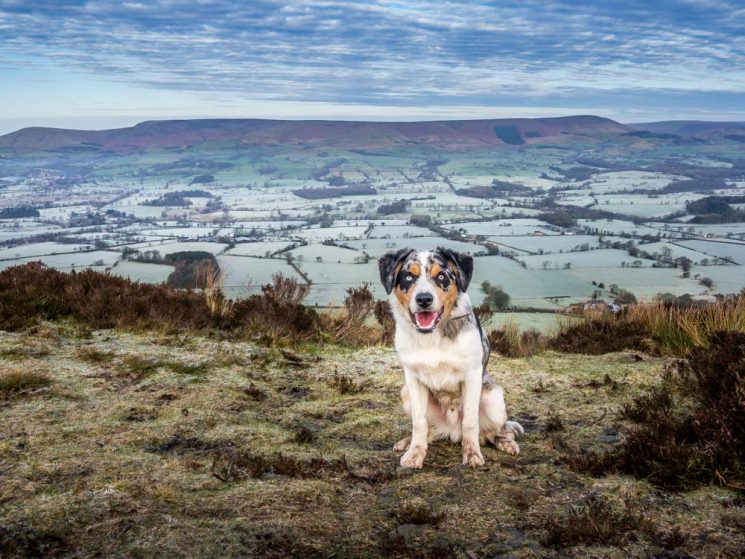 Longridge Fell - A Walk Up Britain's Most Southerly Named Fell | BaldHiker
