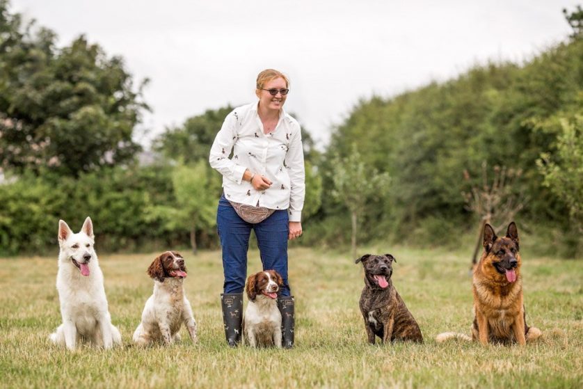 The Work and Passion Of a Dog Trainer & Behaviourist | BaldHiker