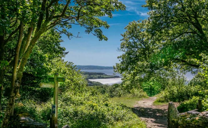 Arnside Knott, A Circular Walk Around and Up | BaldHiker