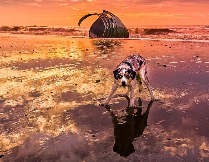 The Mythic Coast Art of Cleveleys Beach, Lancashire | BaldHiker