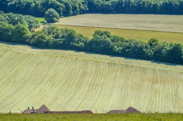 Eartham Woods and Nore Folly Walk, West Sussex | BaldHiker