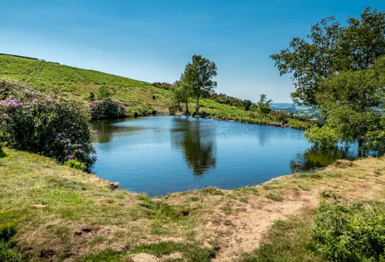 A Walk Up And Around Nicky Nook Lancashire BaldHiker