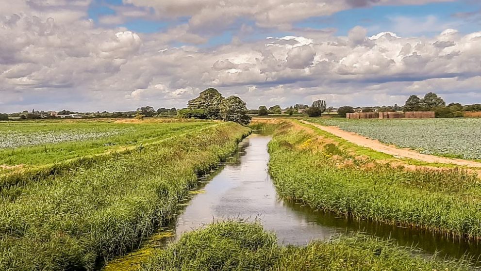 Fosdyke Bridge To Surfleet- A River Welland Walk | BaldHiker