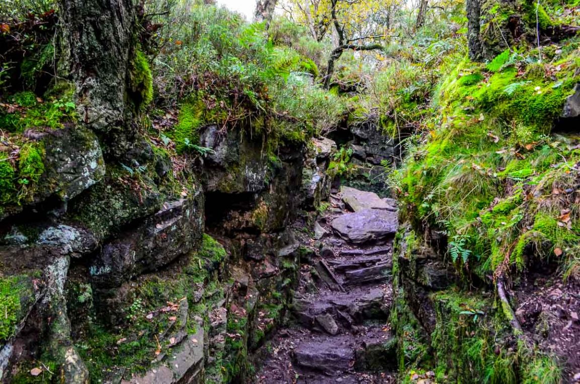 Lud's Church Walk: Discovering the Ancient Tales and Natural Wonders ...