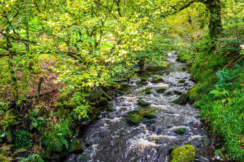 Lud's Church Walk: Discovering the Ancient Tales and Natural Wonders ...