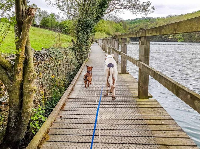 Linacre Reservoirs Walk, Peak District | BaldHiker