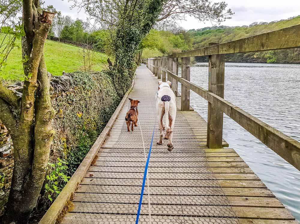 Linacre Reservoirs Walk, Peak District | BaldHiker