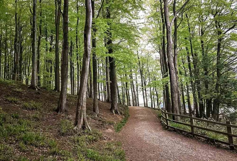 Linacre Reservoirs Walk, Peak District | BaldHiker