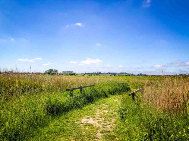 A Walk Around Stodmarsh National Nature Reserve | BaldHiker