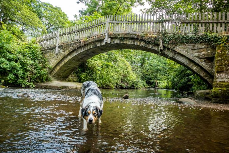 A Bingley Walk Around St Ives Estate | BaldHiker