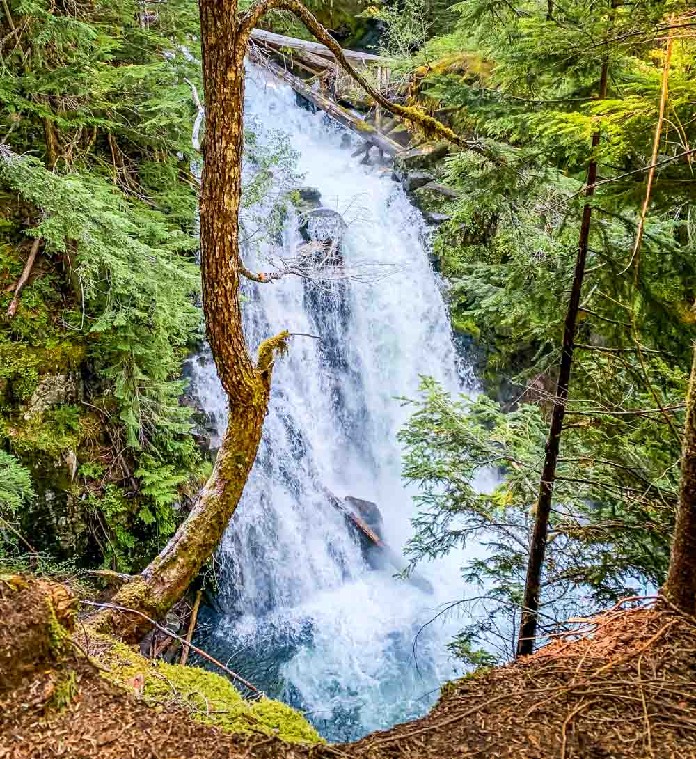 Hike To Carter Falls At Mt Rainier | BaldHiker