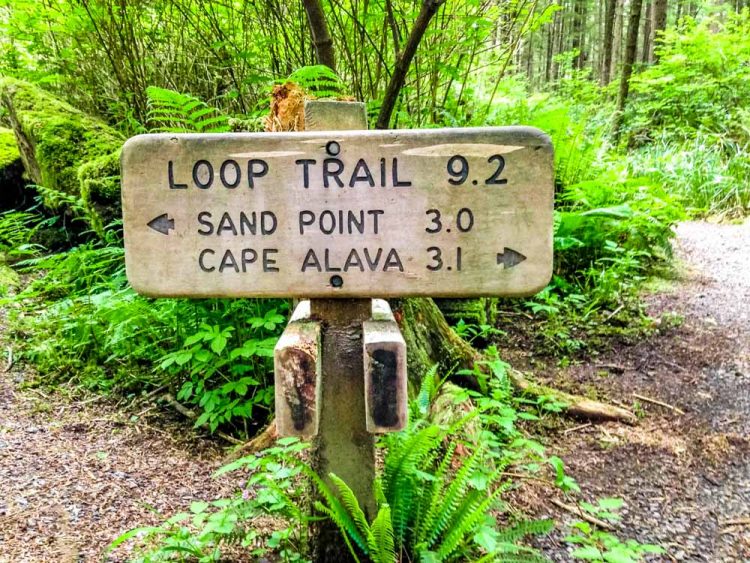 The Ozette Triangle Loop Trail, Olympic National Park | BaldHiker