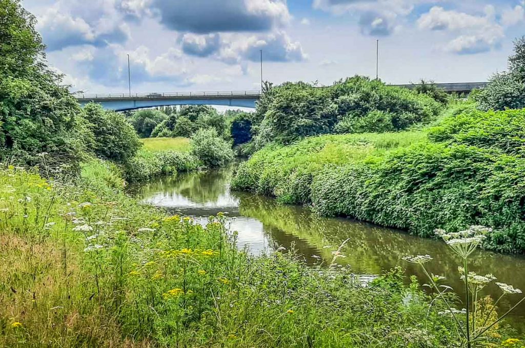 Woodhouse Washlands Nature Reserve, Sheffield | BaldHiker