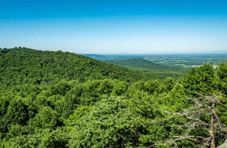 Raven Rocks Hike, Bluemont, Virginia | BaldHiker