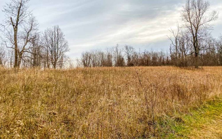 Exploring the Enchanting Beauty of Sky Meadows State Park | BaldHiker