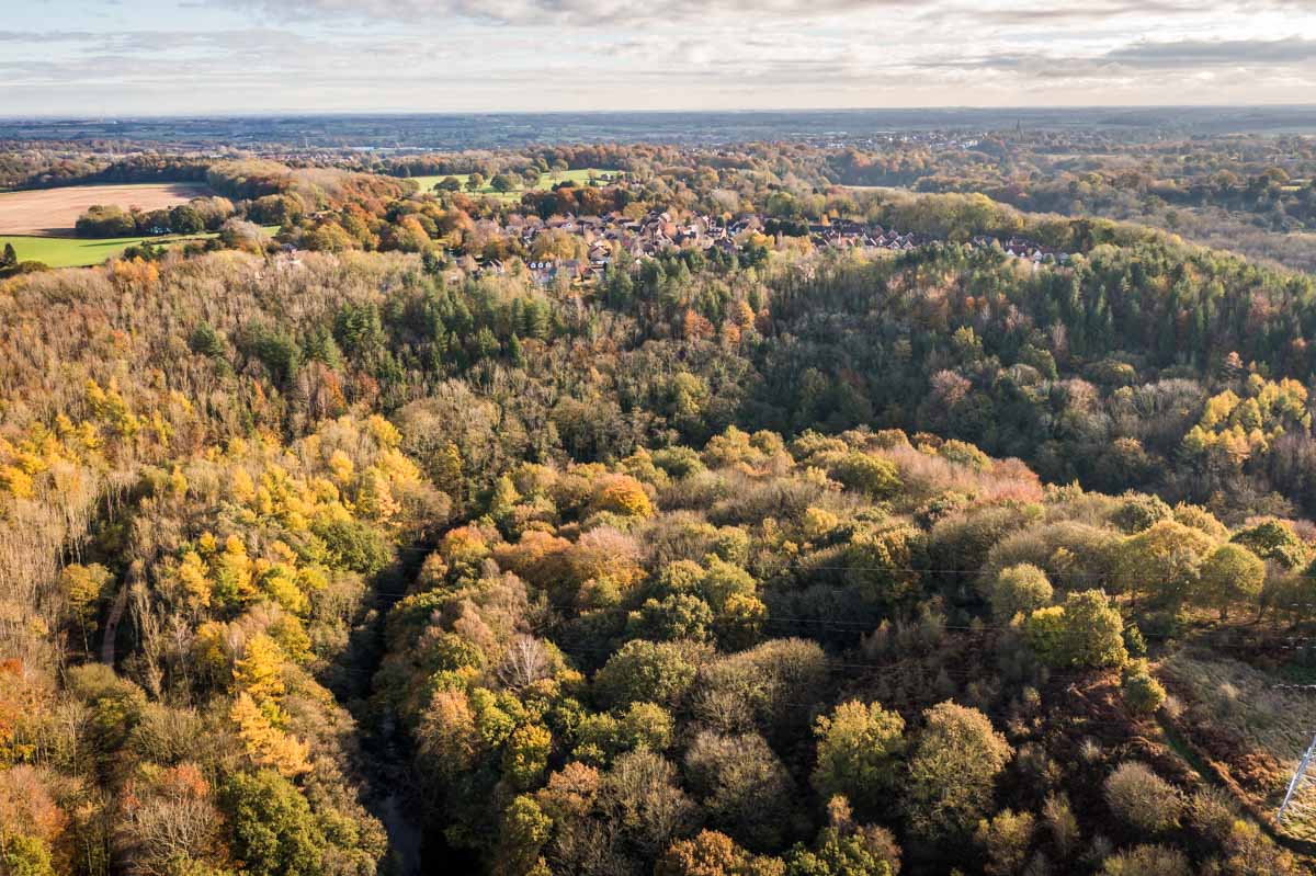 Nidd Gorge And Old Bilton Walk From Knaresborough | BaldHiker