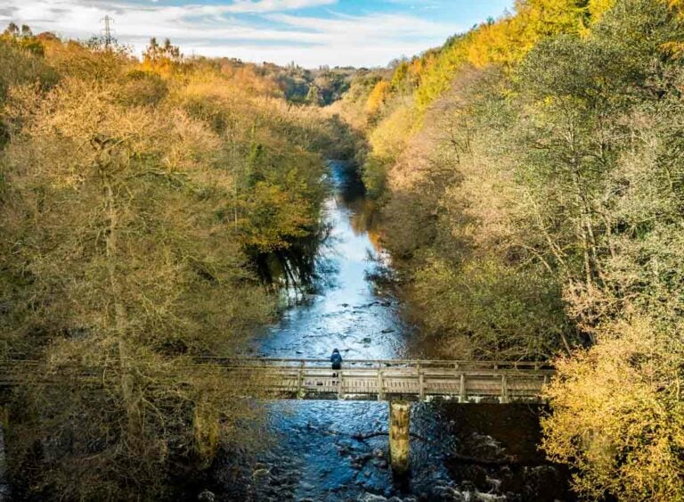Nidd Gorge And Old Bilton Walk From Knaresborough | BaldHiker