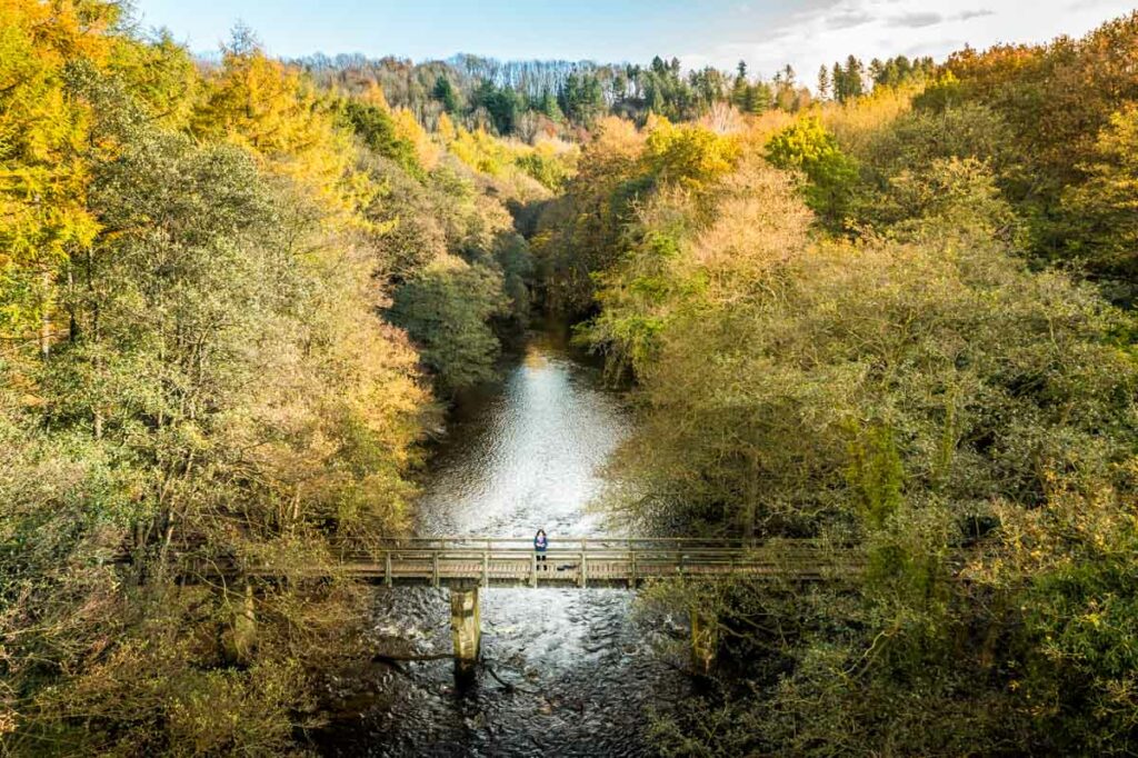 Nidd Gorge And Old Bilton Walk From Knaresborough | BaldHiker