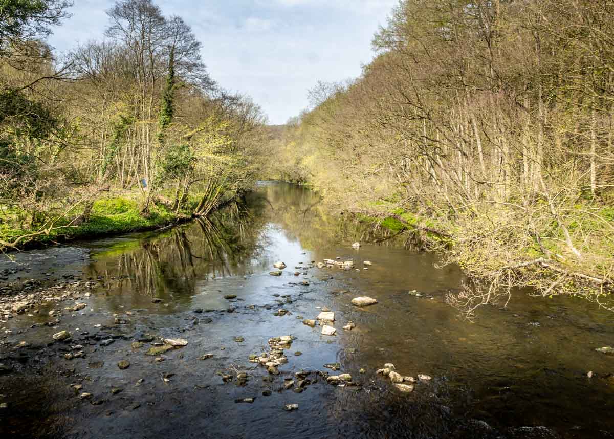 Nidd Gorge And Old Bilton Walk From Knaresborough | BaldHiker