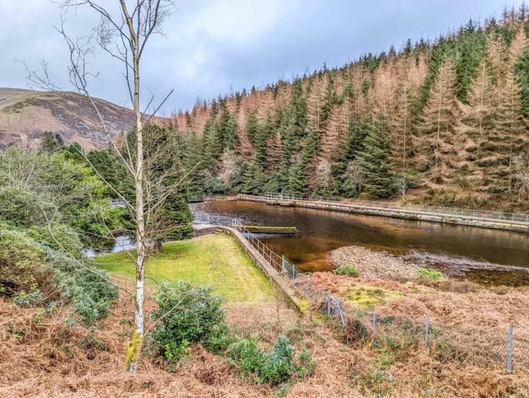 Langden Brook Valley Walk In The Forest Of Bowland | BaldHiker