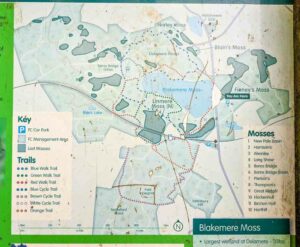 A Walk Around Blakemere Moss, Delamere Forest | BaldHiker