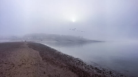 Whitstable Bay "High Tide" Afternoon Tea at The Marine Hotel in ...