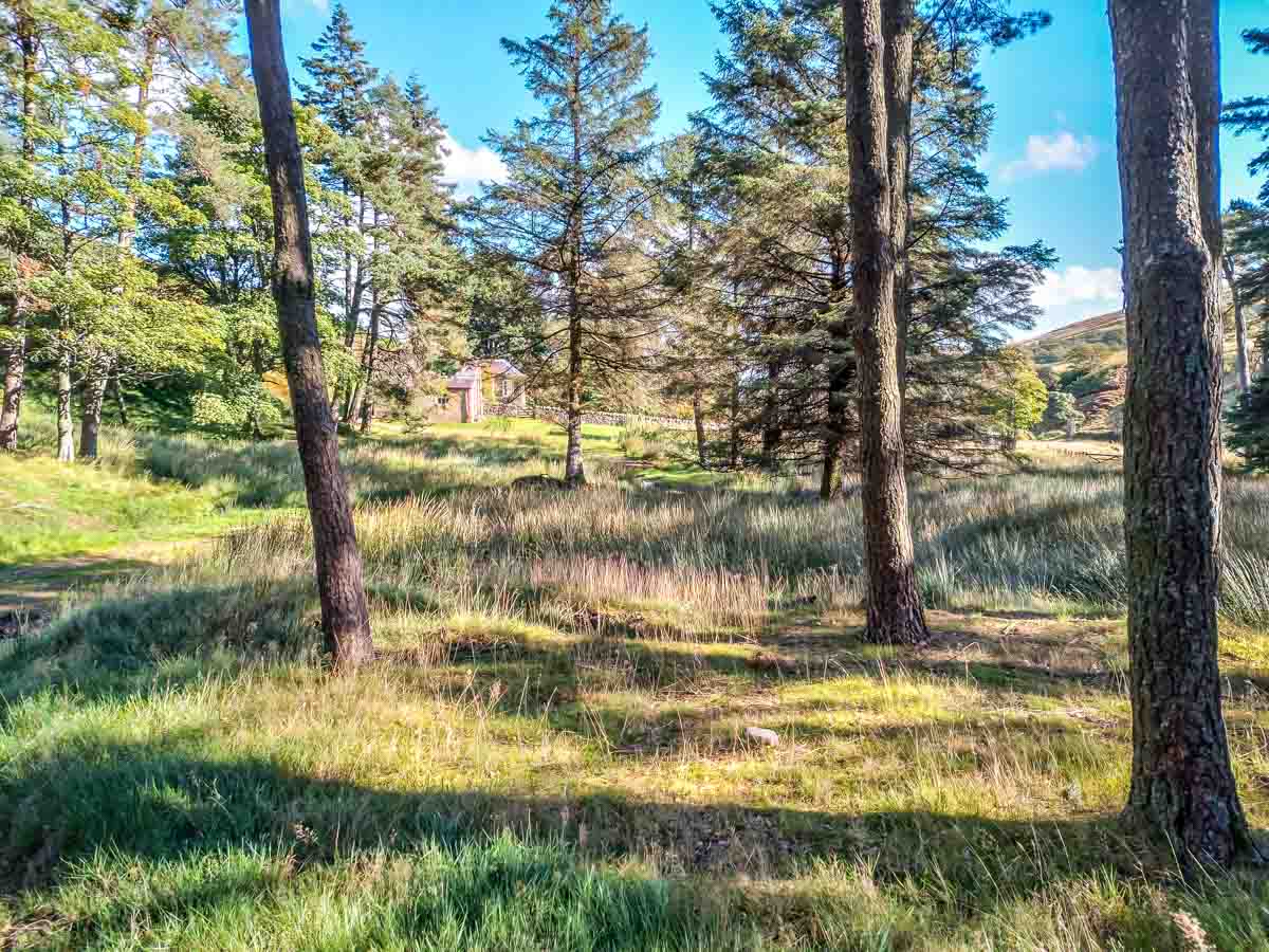 The Cheviot - A Walk In Northumberland | BaldHiker