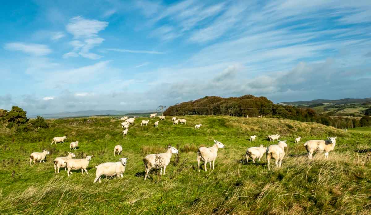 Castle Creavie Farm - A Beautiful Galloway Escape Near Kirkcudbright ...