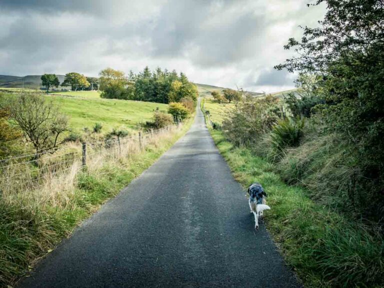 High Cup Nick Circular Walk From Dufton | BaldHiker