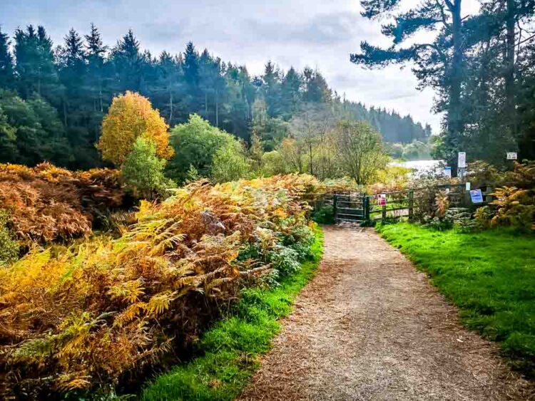 Cod Beck Reservoir: North Yorkshire | BaldHiker