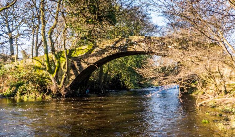 A Circular Walk Of Lindley Wood Reservoir, Yorkshire | BaldHiker