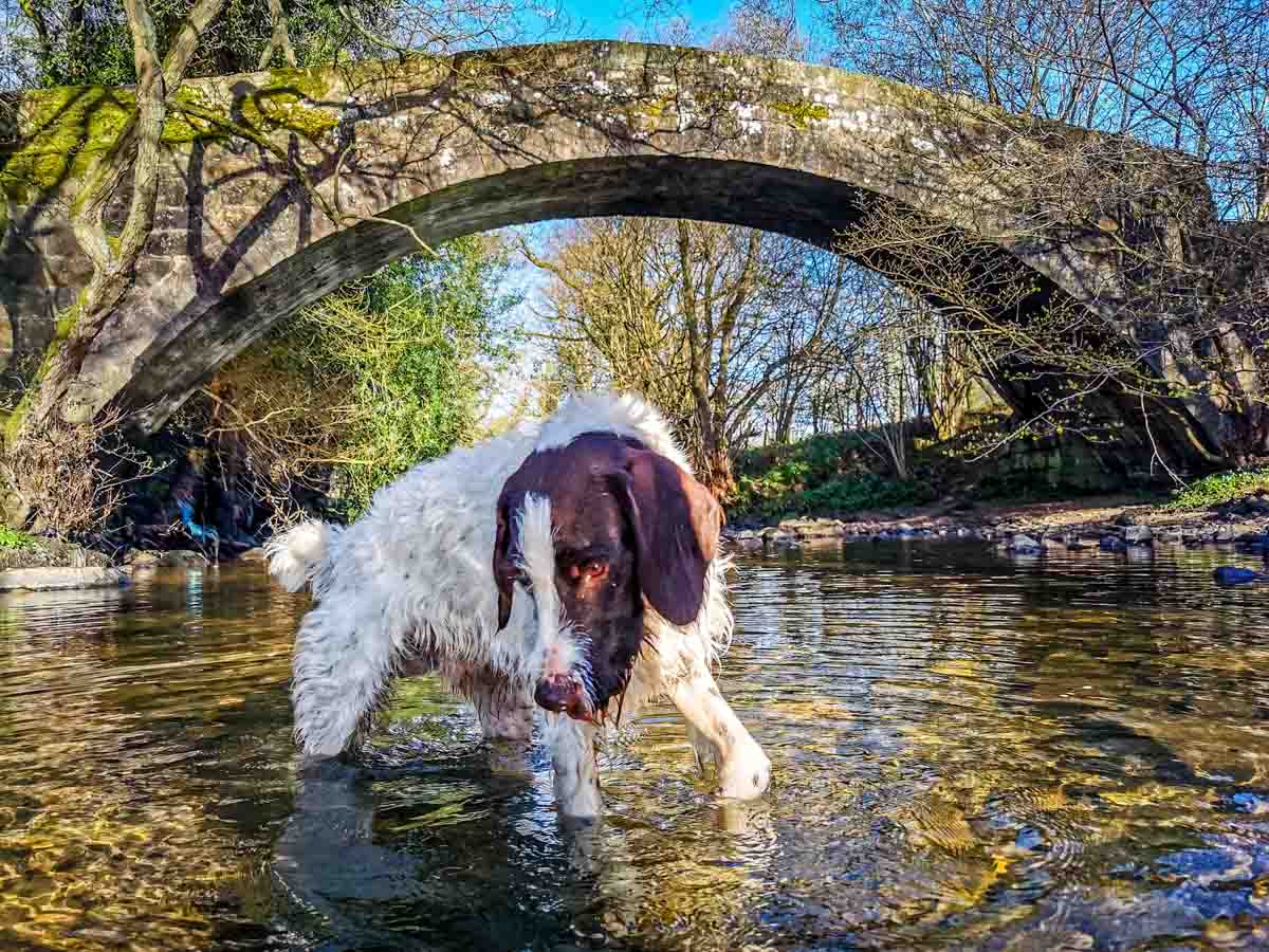 A Circular Walk Of Lindley Wood Reservoir, Yorkshire | BaldHiker