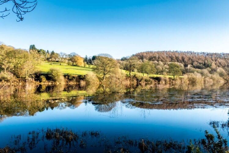 A Circular Walk Of Lindley Wood Reservoir, Yorkshire | BaldHiker