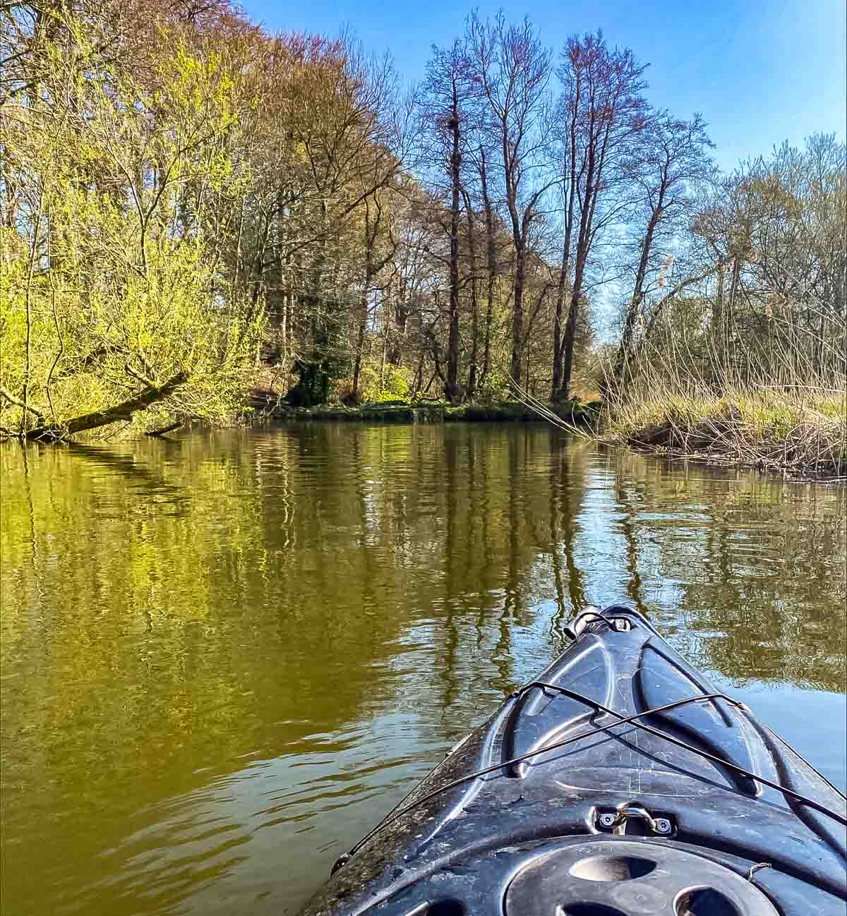 Kayak Gibraltar Gardens, Norwich To Drayton On The River Wensum | BaldHiker