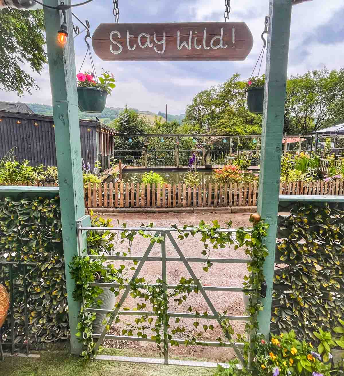 Uncover the Hidden Gem: Wild Cafe in Marsden, West Yorkshire