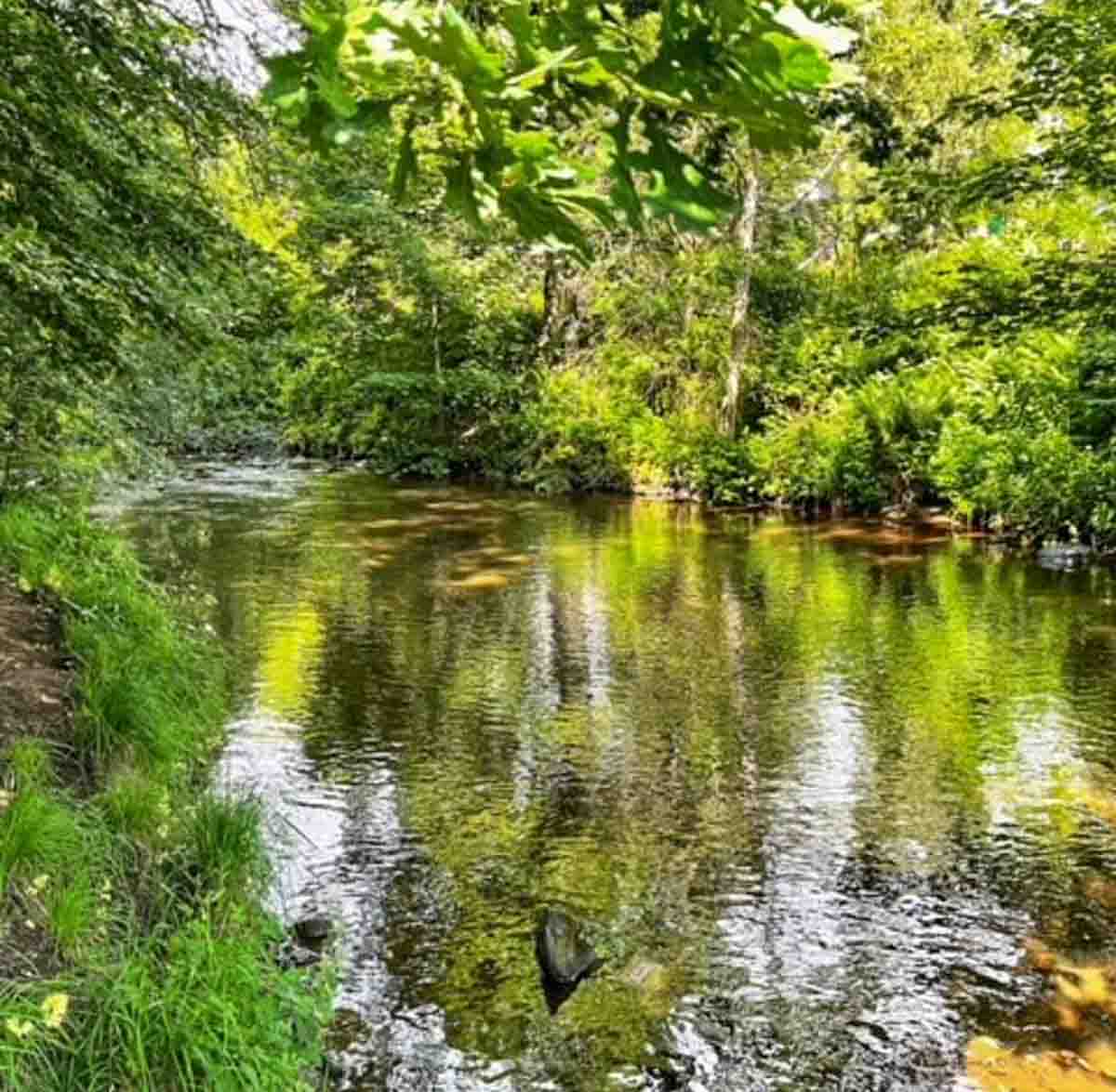 The Water of Leith Walkway, Edinburgh | BaldHiker