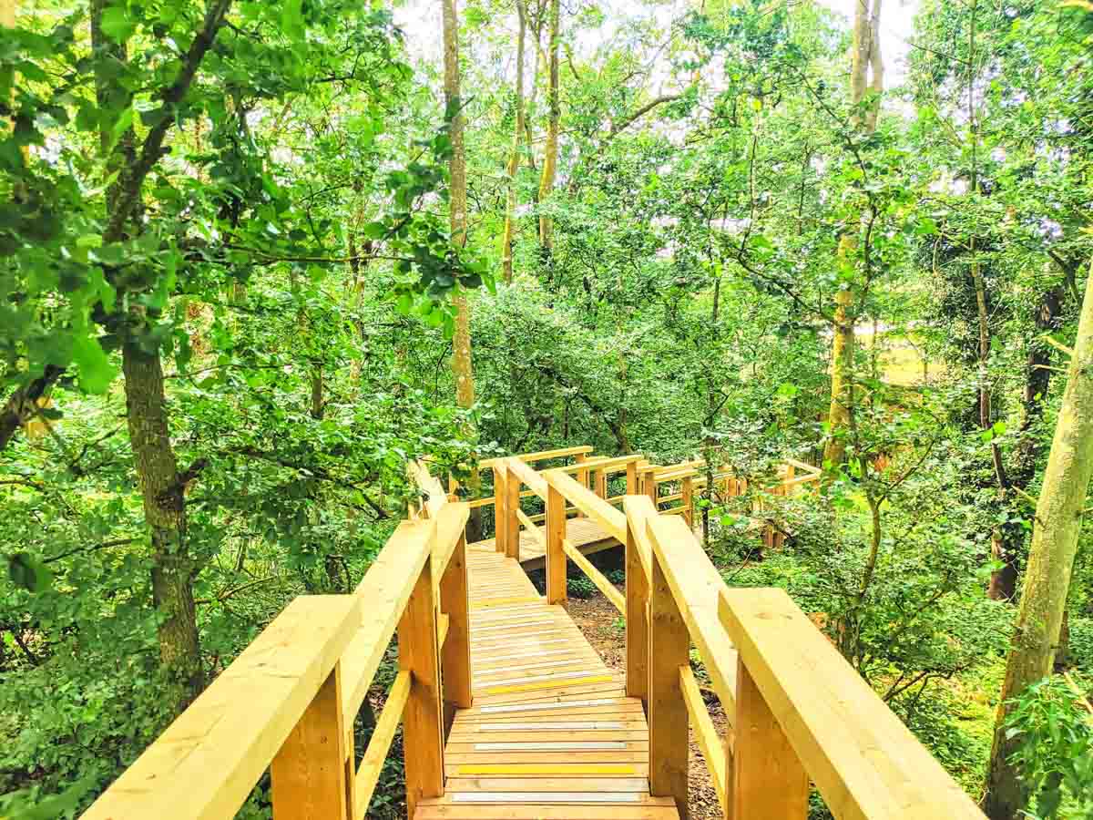 Rewild Things - A Magical Treehouse Experience In Gloucestershire ...