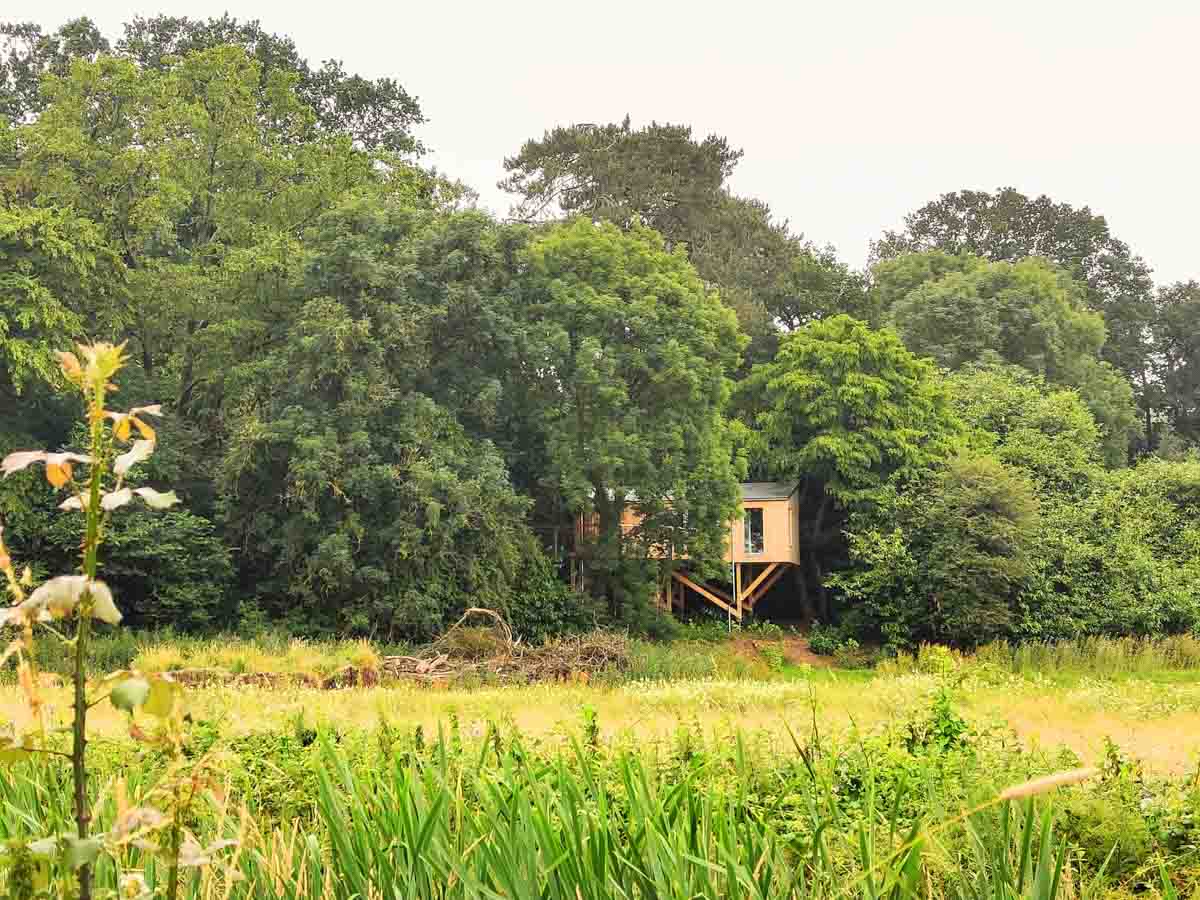 Rewild Things - A Magical Treehouse Experience In Gloucestershire ...