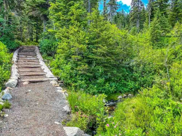 Pinnacle Peak Trail, Mt. Rainier, Washington | BaldHiker