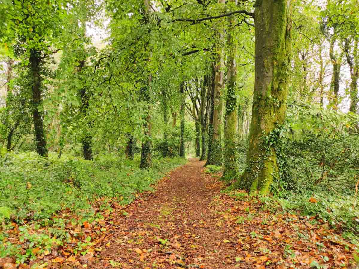 Landal GreenParks, Clowance Estate, Cornwall | BaldHiker