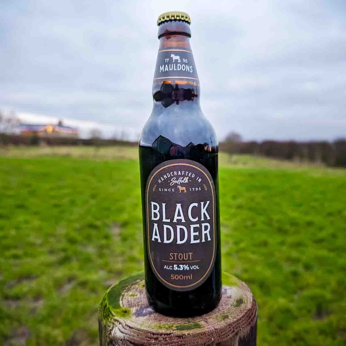 Mauldons Brewery Review: Suffolk's Oldest Brewery (est. 1795) | BaldHiker