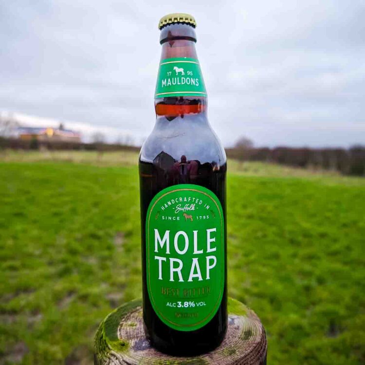 Mauldons Brewery Review: Suffolk's Oldest Brewery (est. 1795) | BaldHiker